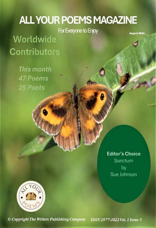 All Your Poems All Your Poems Magazine – August Edition